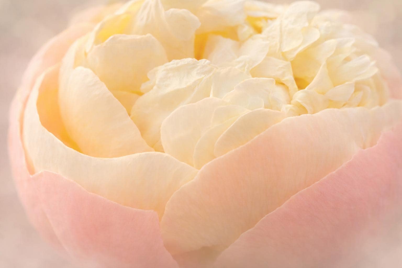 Website Update – New Design and Improved Functionality. - Alex Flowers ...